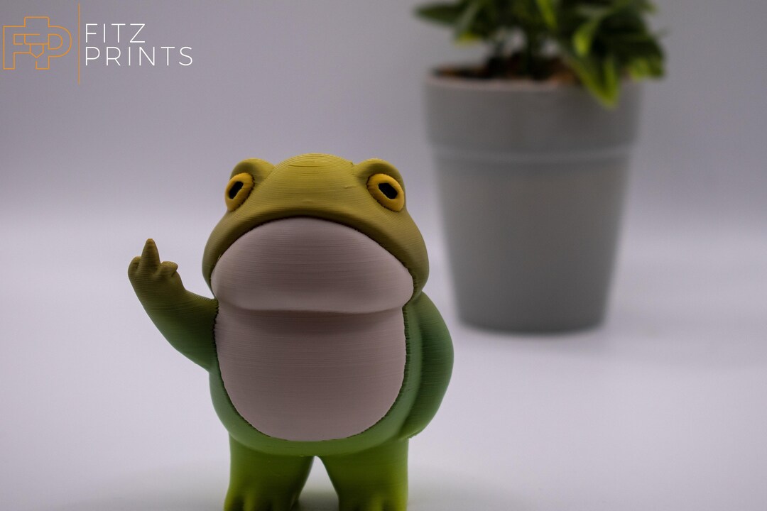 Frog Giving the Middle Finger - Etsy Canada