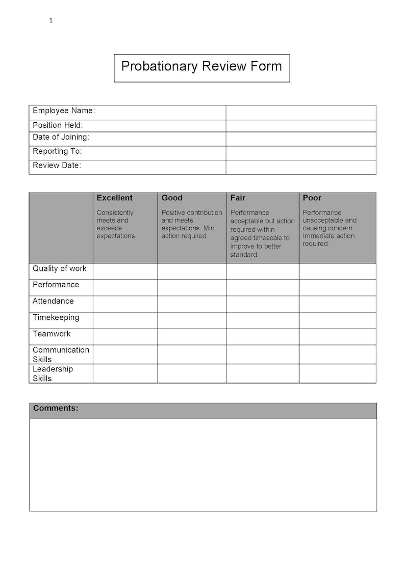 Probationary Review Form - Etsy