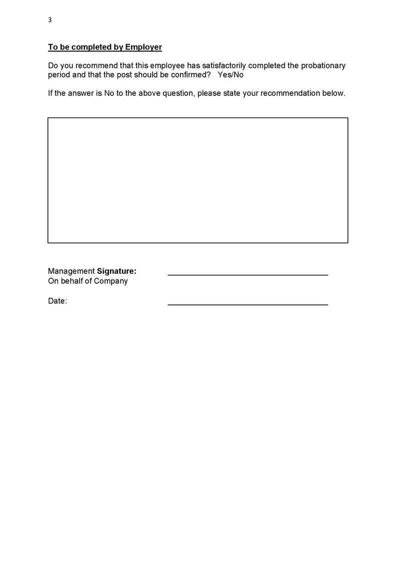 Probationary Review Form - Etsy
