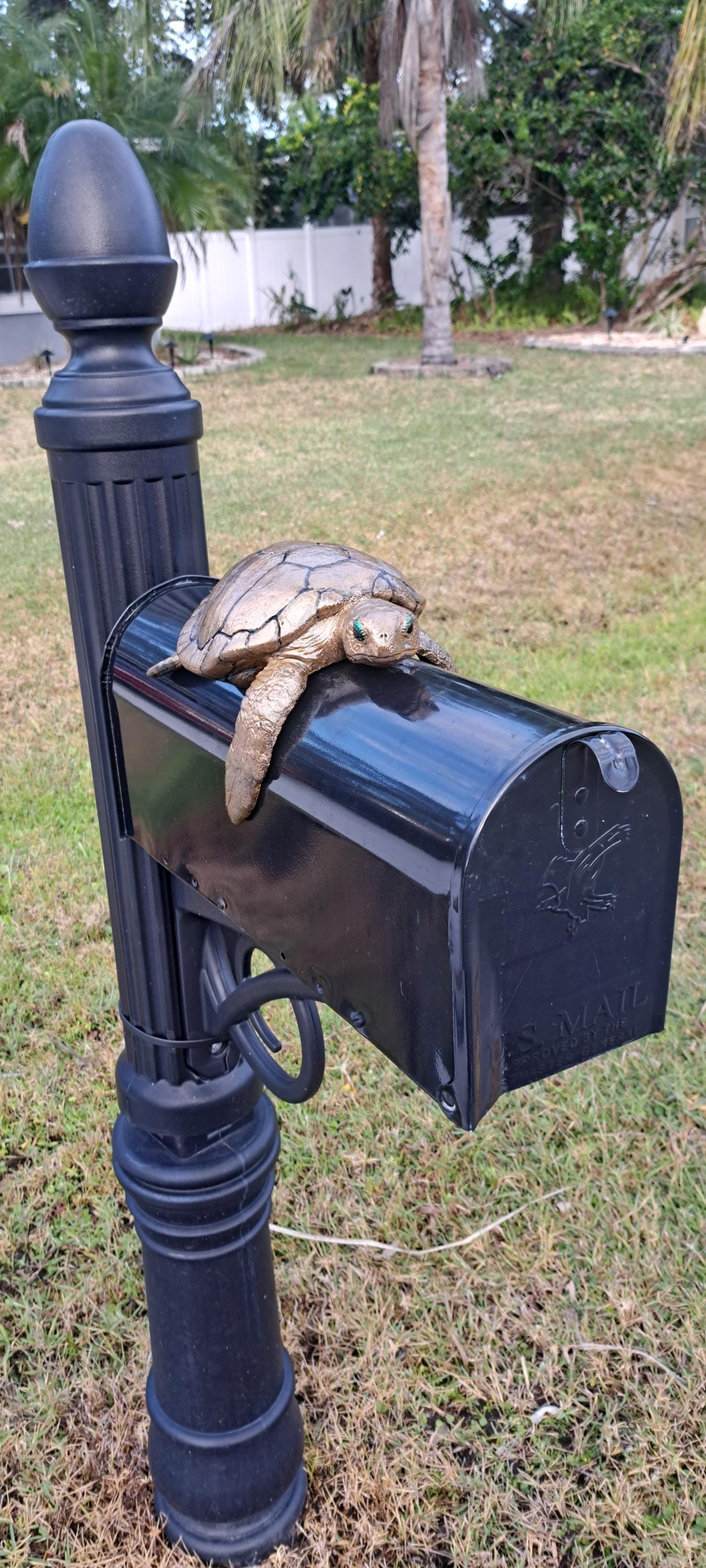 Turtle Mailbox Topper Rich Expresso - Etsy