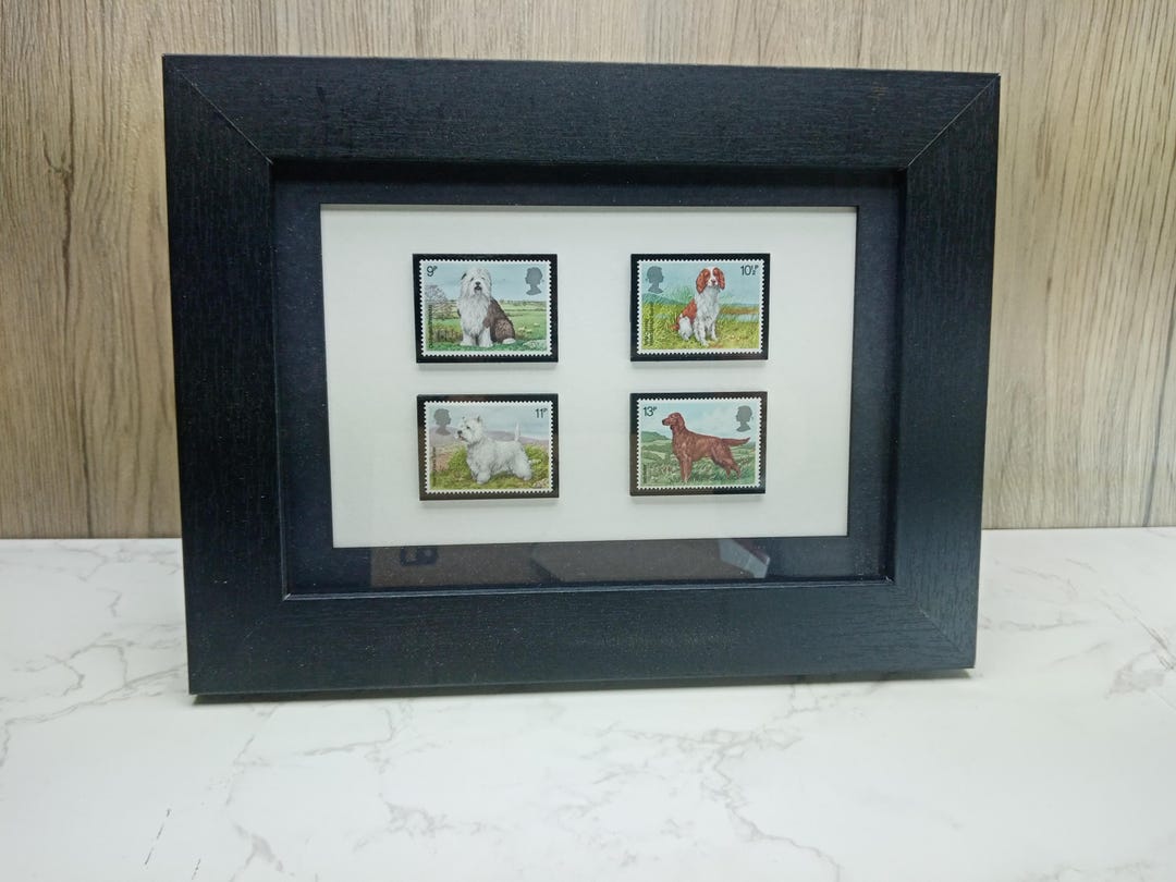 Framed 1979 Dog Breeds Stamps Genuine Royal Mail Set of 4 Stamps, Born ...