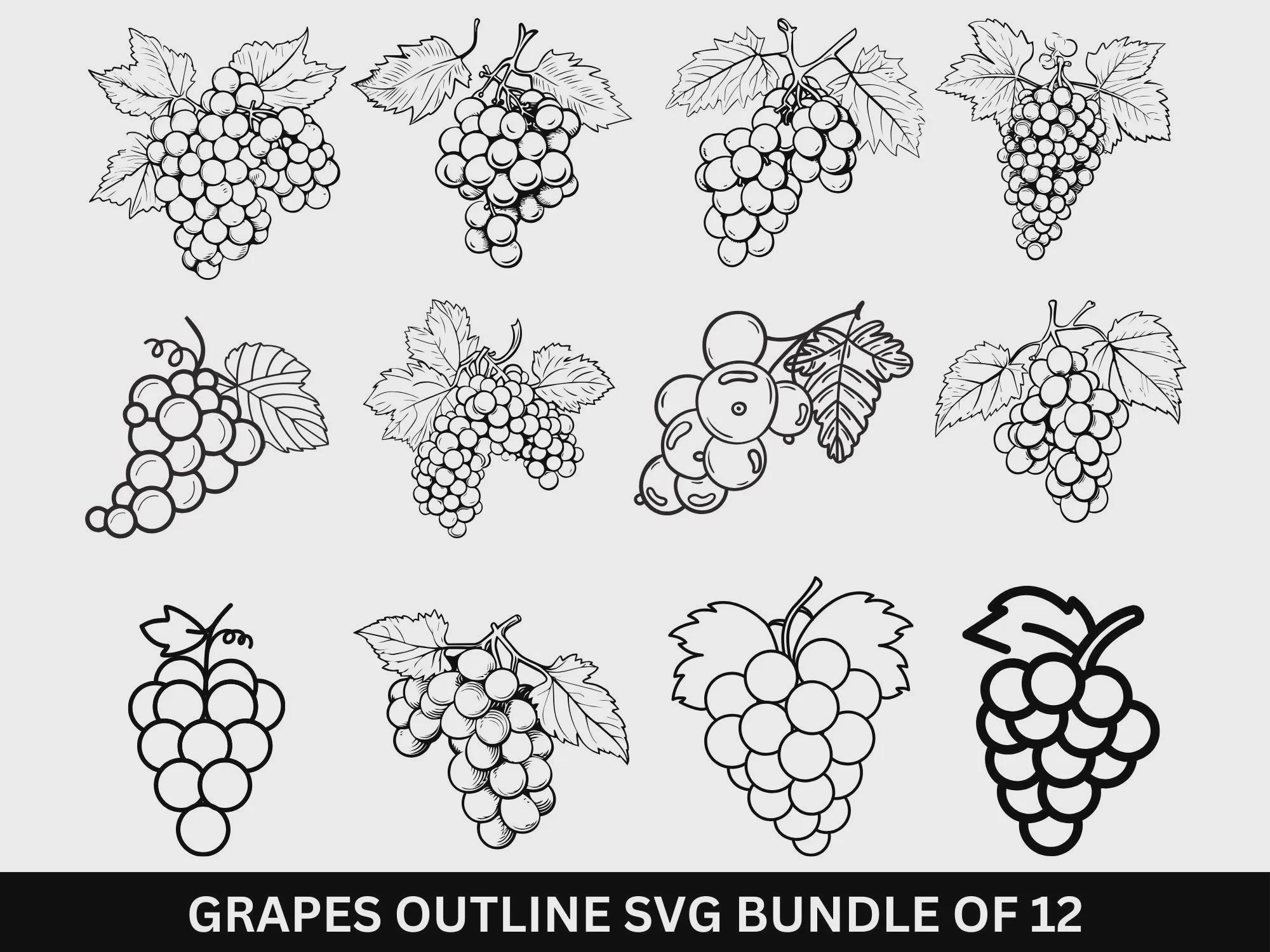 Grape SVG, Wine Svg Bundle, Vineyard Cut File, Transparent Wine, Grape ...