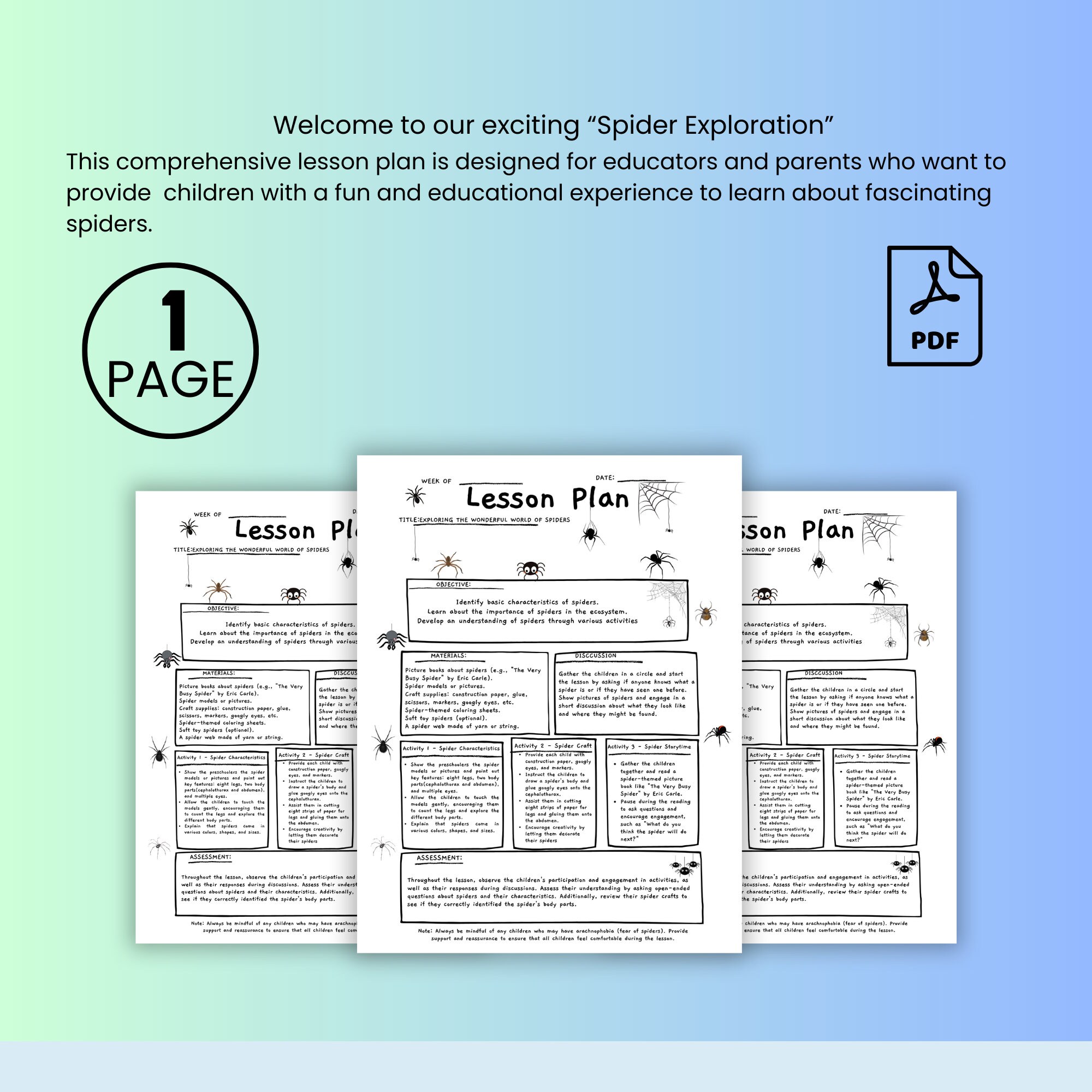 Lesson Plan Spider Exploration for Children - Etsy