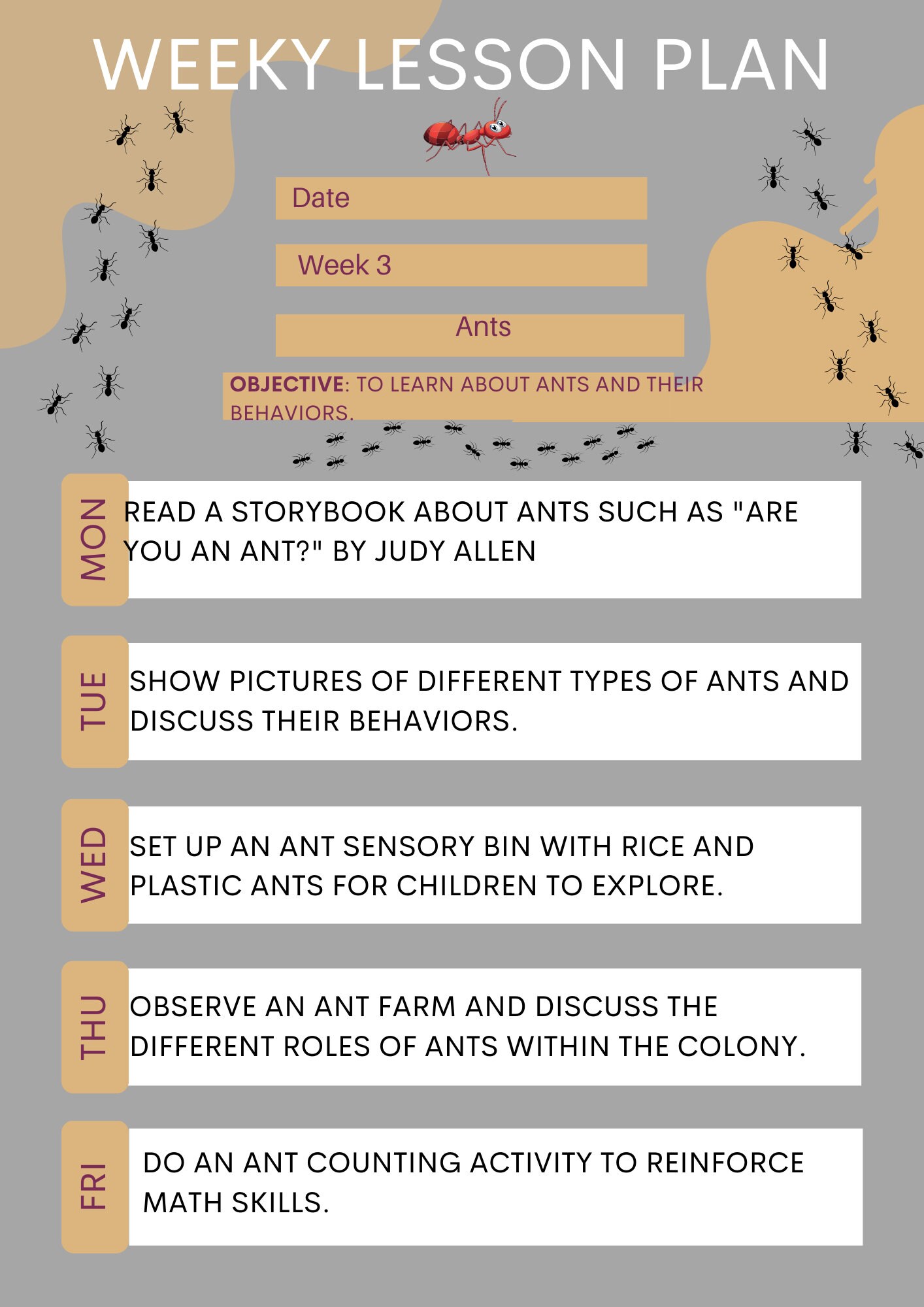 4 Insects Lesson Plans for Preschool and Insect Activities, Daycare ...