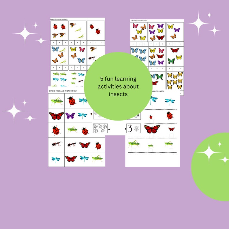 4 Insects Lesson Plans for Preschool and Insect Activities, Daycare ...