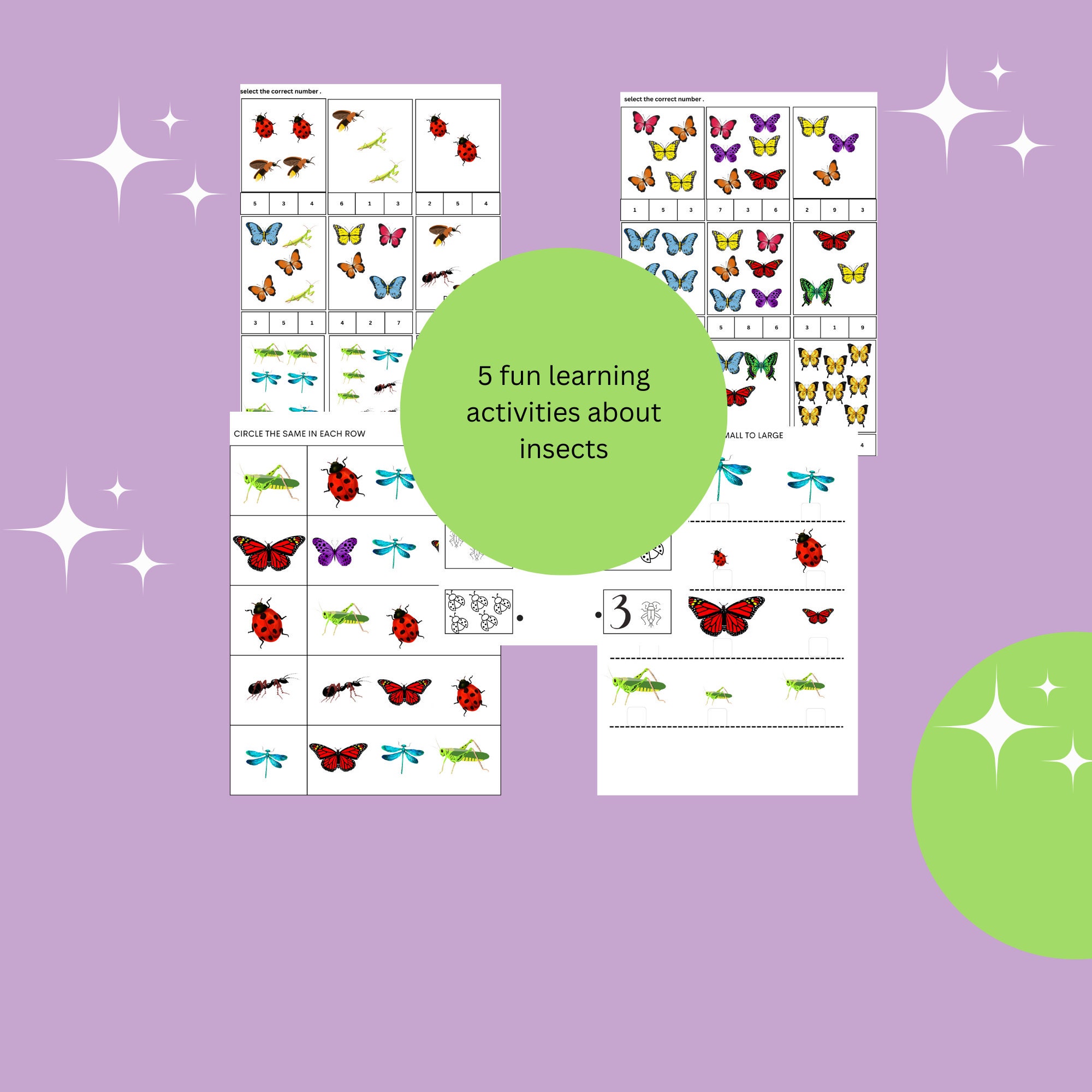 4 Insects Lesson Plans for Preschool and Insect Activities, Daycare ...