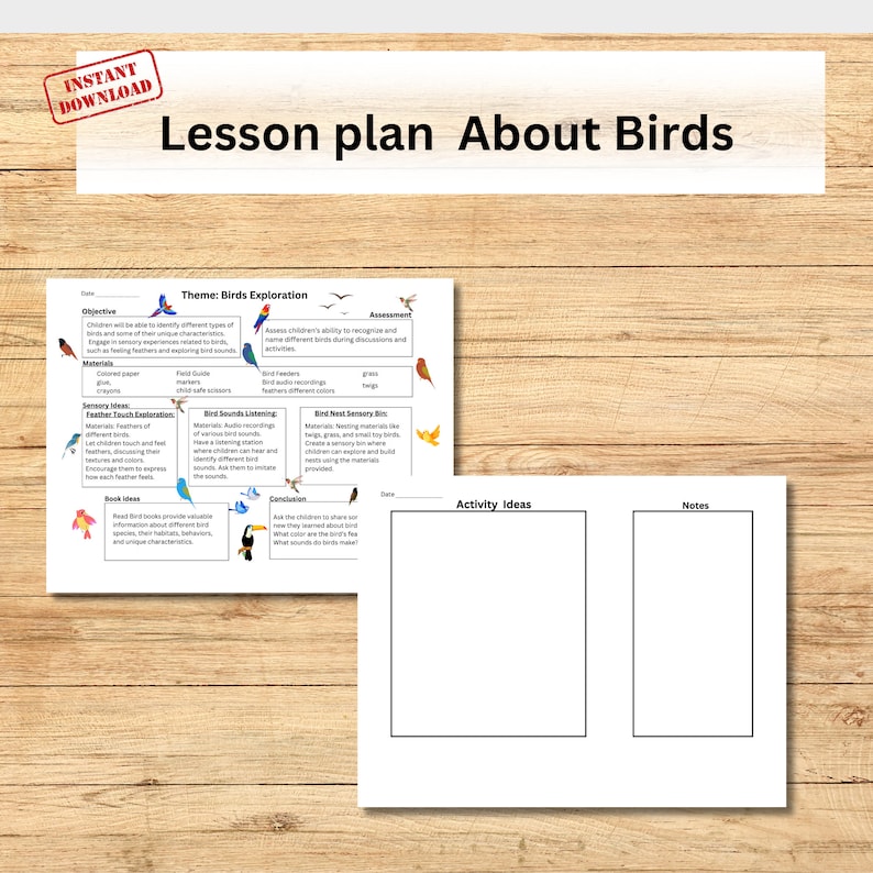 Complete Lesson Plan About Birds for Ages 2-5 - Etsy UK