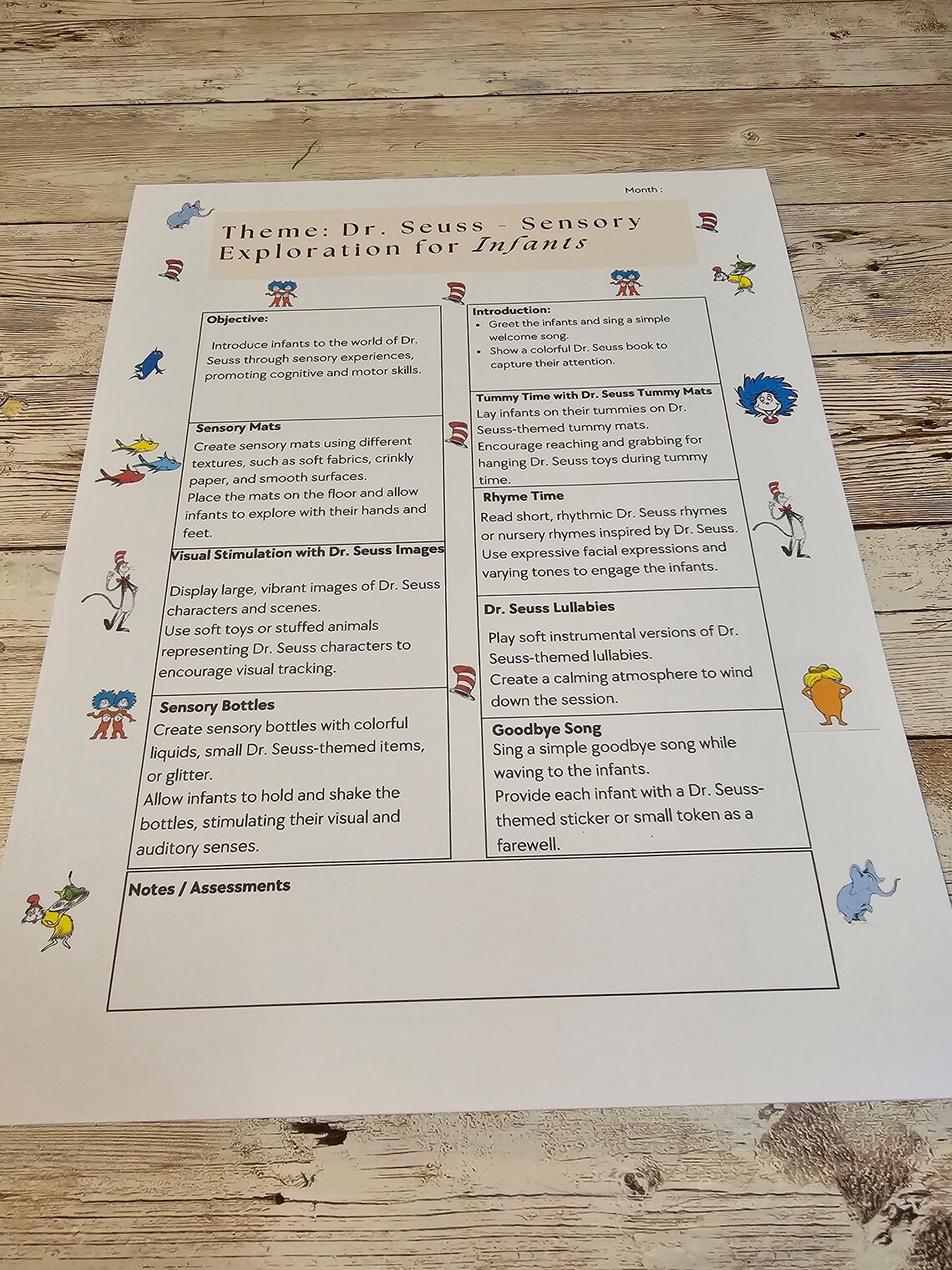 Dr Seuss Lesson Plan for Infants - Etsy