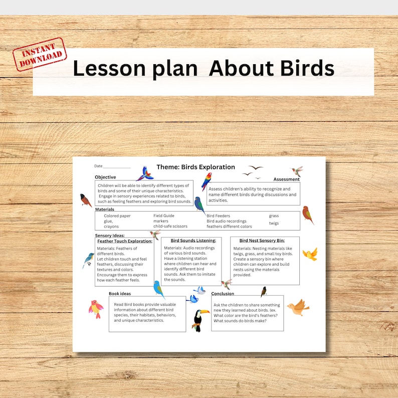 Complete Lesson Plan About Birds for Ages 2-5 - Etsy UK