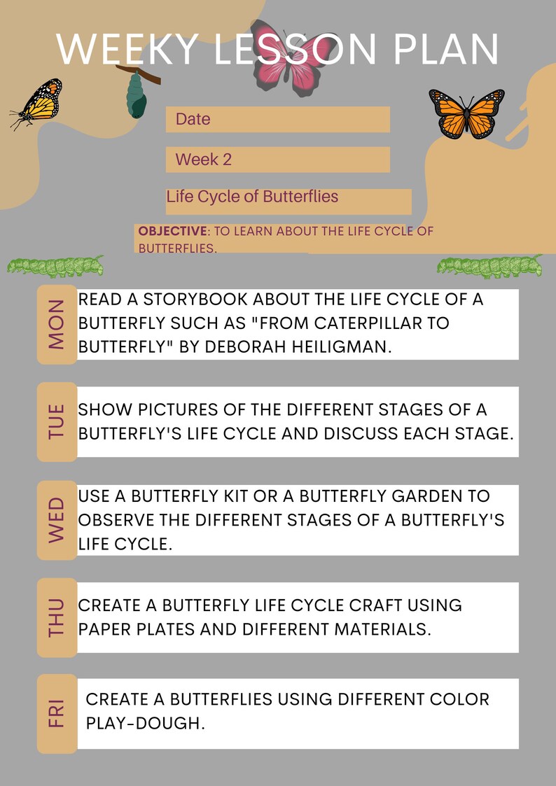 4 Insects Lesson Plans for Preschool and Insect Activities, Daycare ...