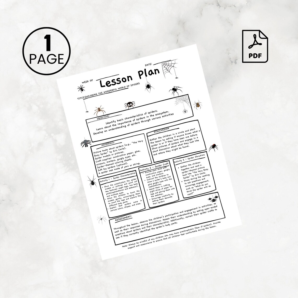 Lesson Plan Spider Exploration for Children - Etsy