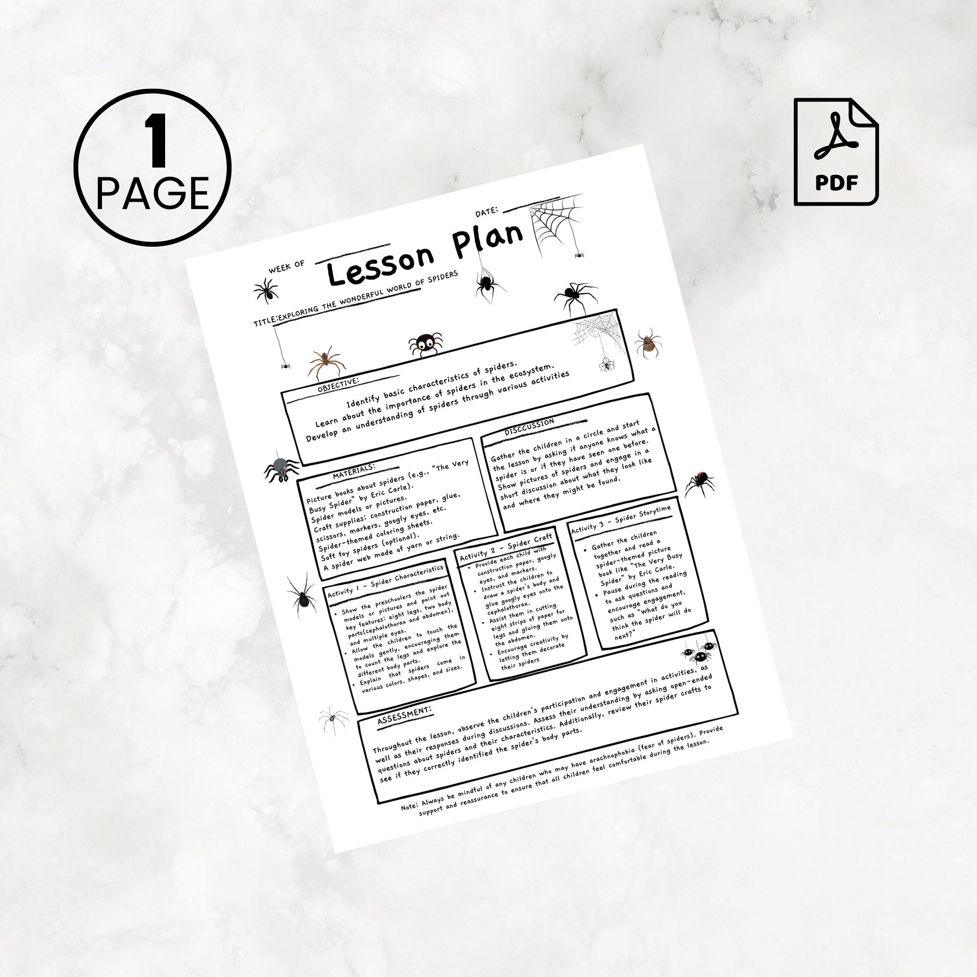 Lesson Plan Spider Exploration for Children - Etsy