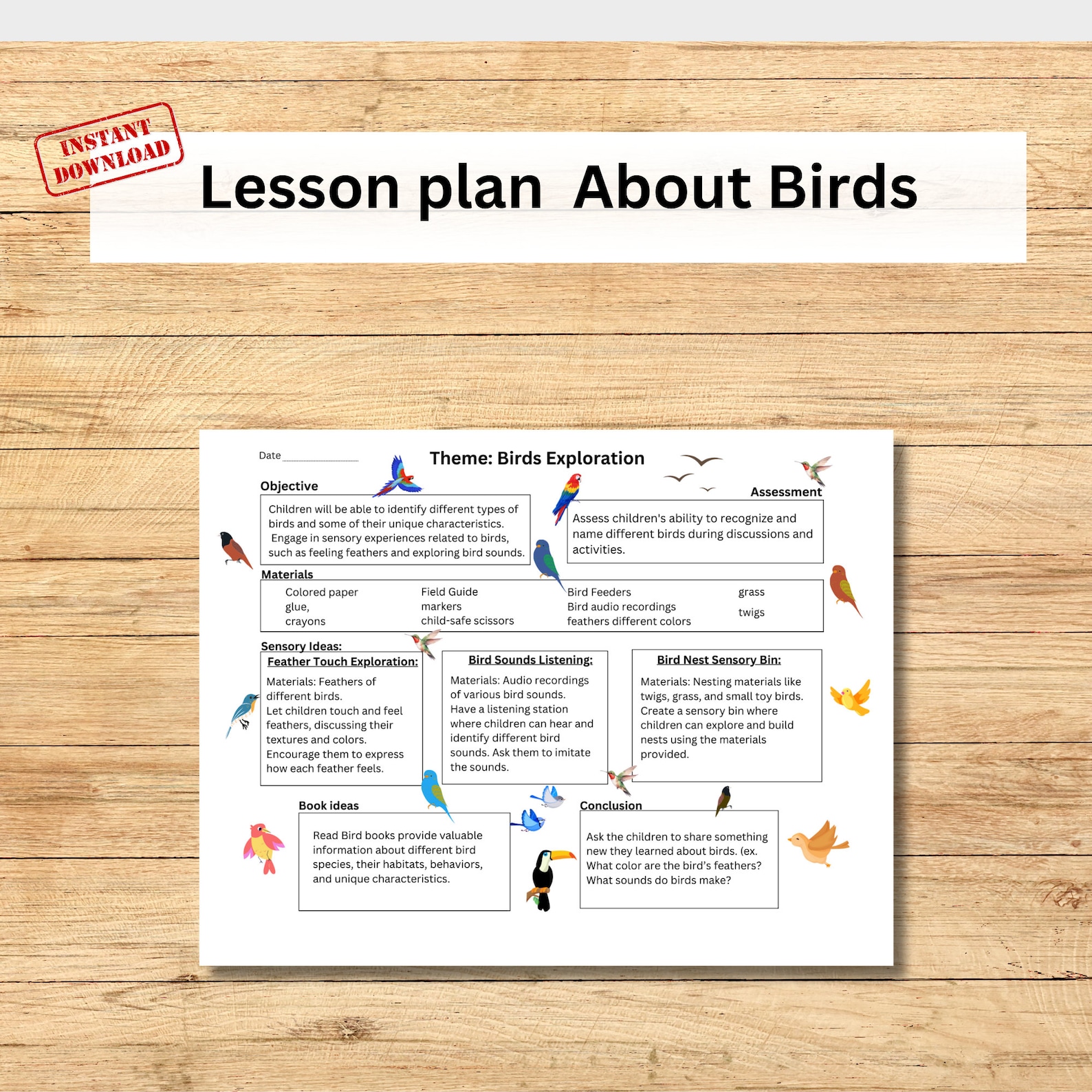 Complete Lesson Plan About Birds for Ages 2-5 - Etsy UK