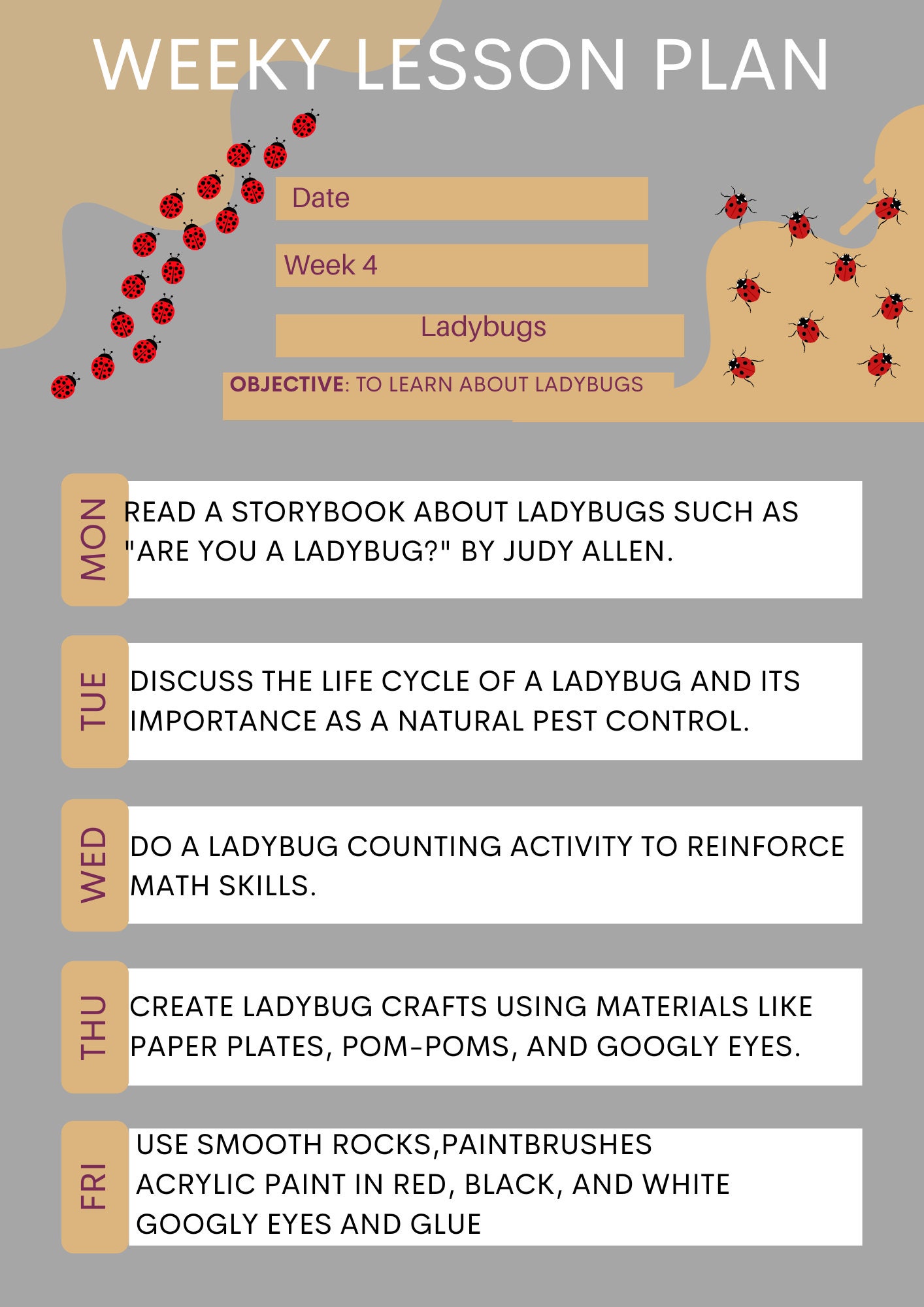 4 Insects Lesson Plans for Preschool and Insect Activities, Daycare ...