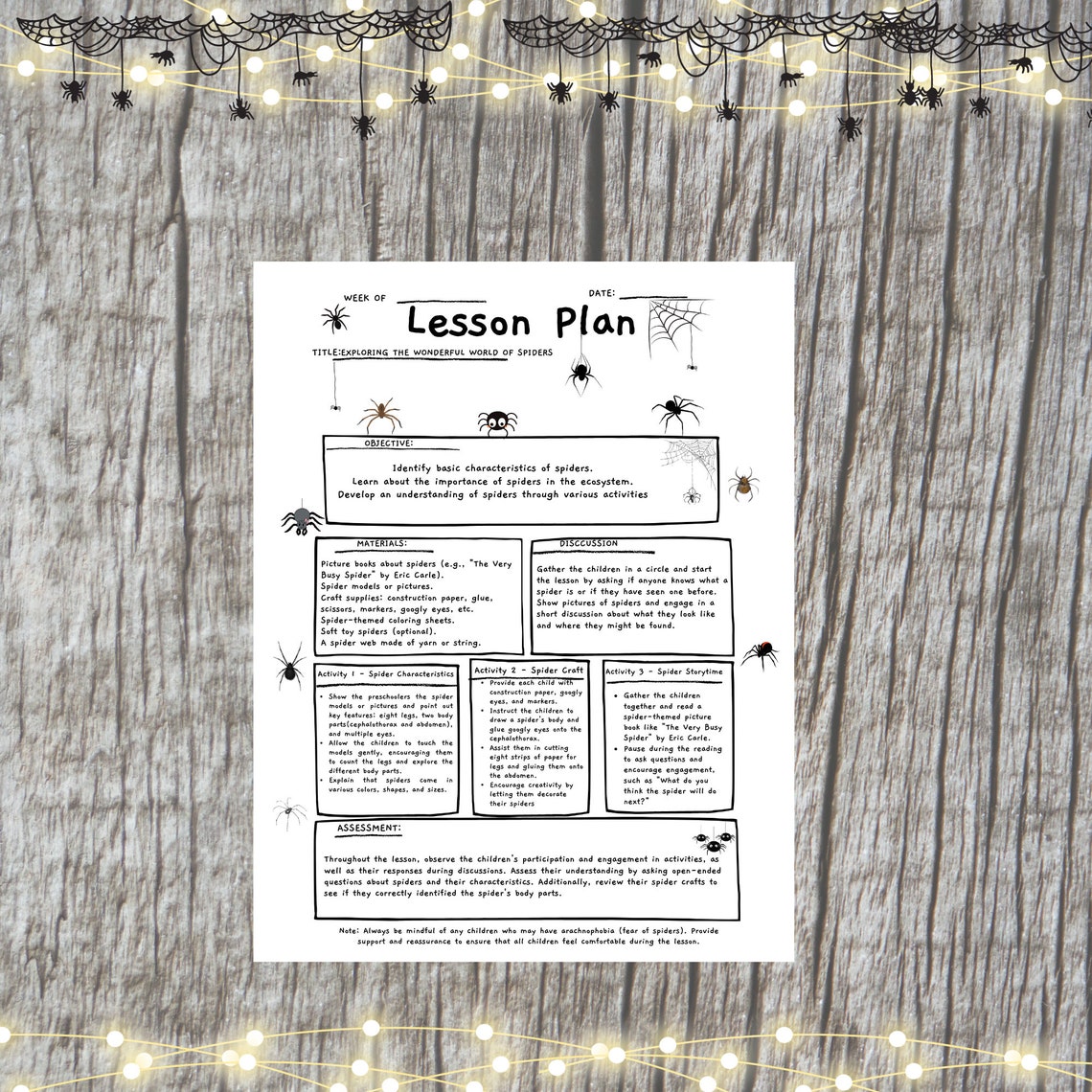 Lesson Plan Spider Exploration for Children - Etsy