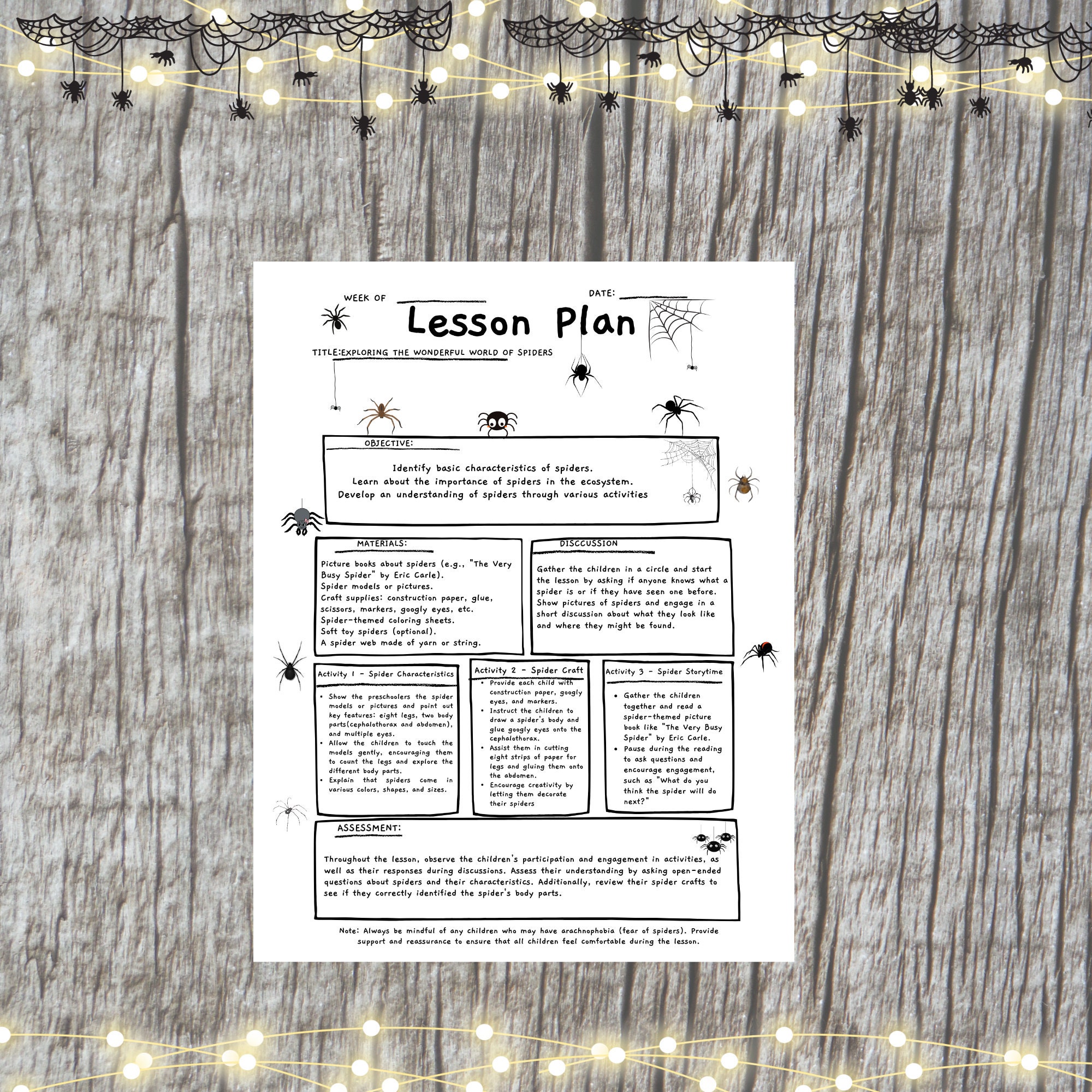 Lesson Plan Spider Exploration for Children - Etsy