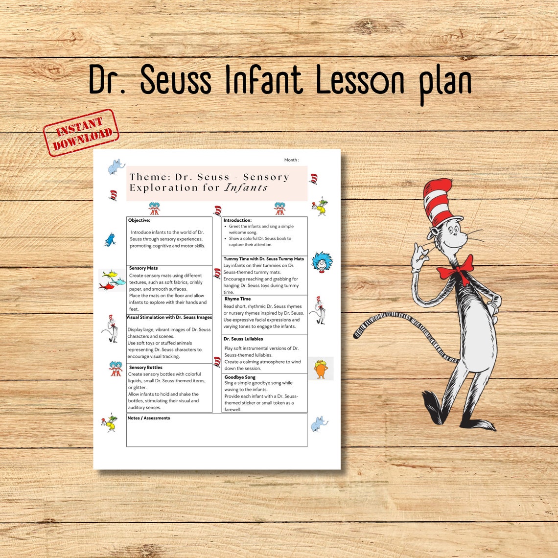 Dr Seuss Lesson Plan for Infants - Etsy
