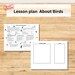 Complete Lesson Plan About Birds for Ages 2-5 - Etsy UK