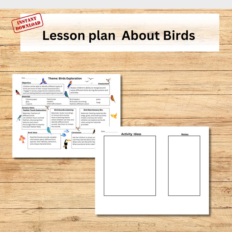 Complete Lesson Plan About Birds for Ages 2-5 - Etsy UK