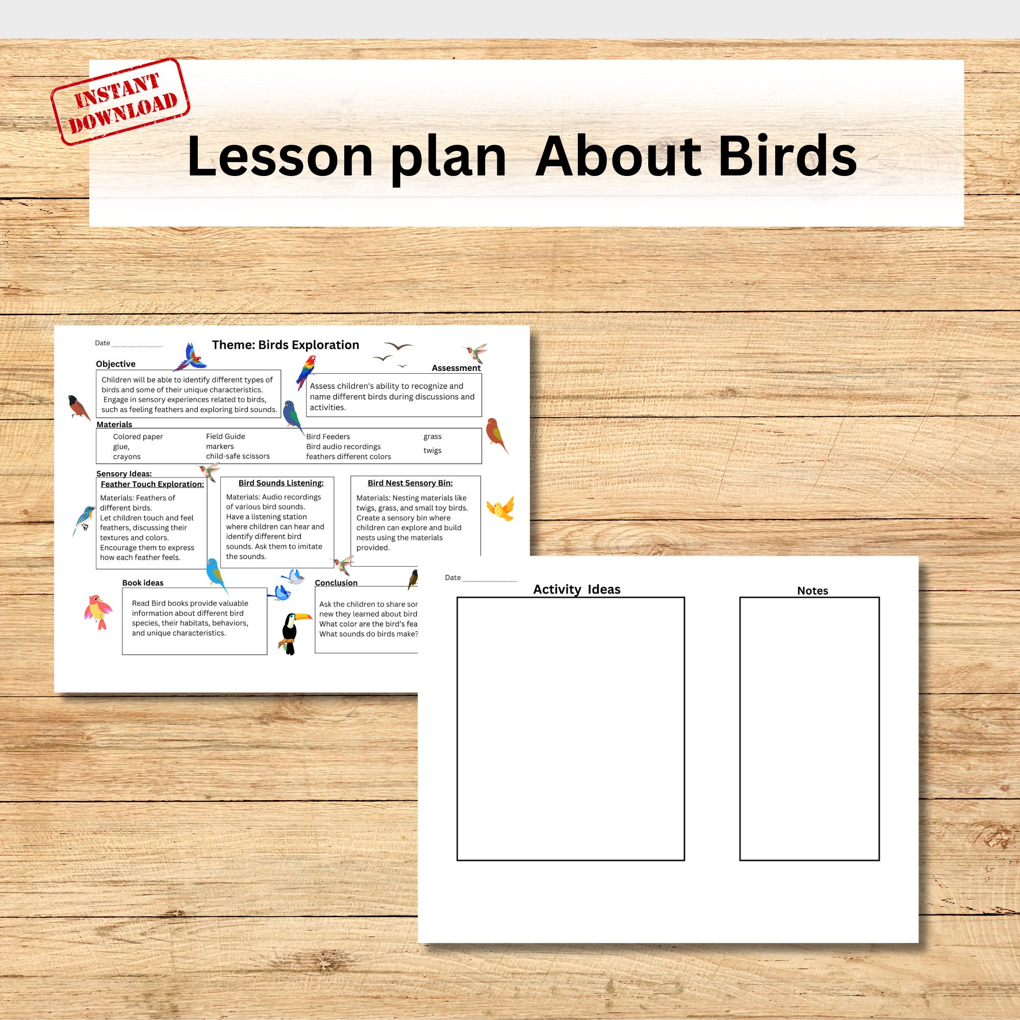 Complete Lesson Plan About Birds for Ages 2-5 - Etsy