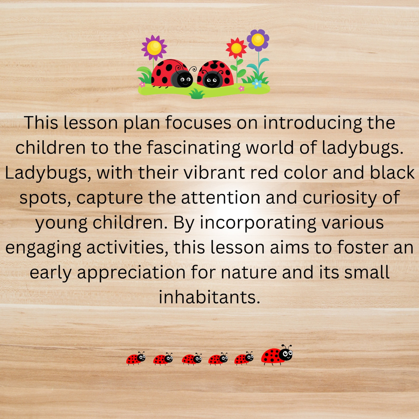 Exploring Ladybugs: Interactive Lesson Plan for Curious Toddlers - Etsy