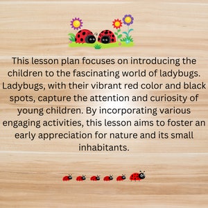 Exploring Ladybugs: Interactive Lesson Plan for Curious Toddlers - Etsy