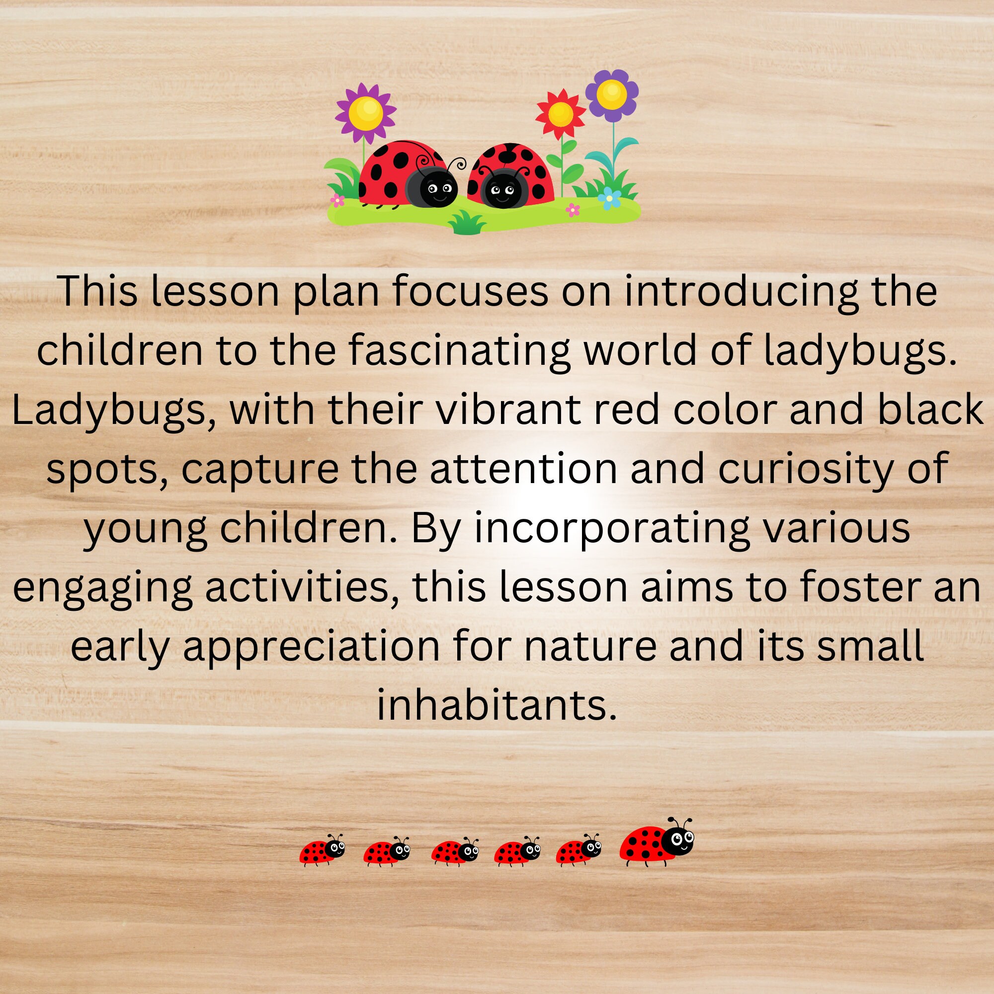 Exploring Ladybugs: Interactive Lesson Plan for Curious Toddlers - Etsy