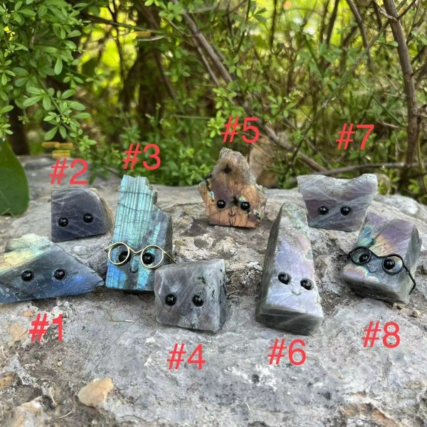 Pet Rock - Etsy