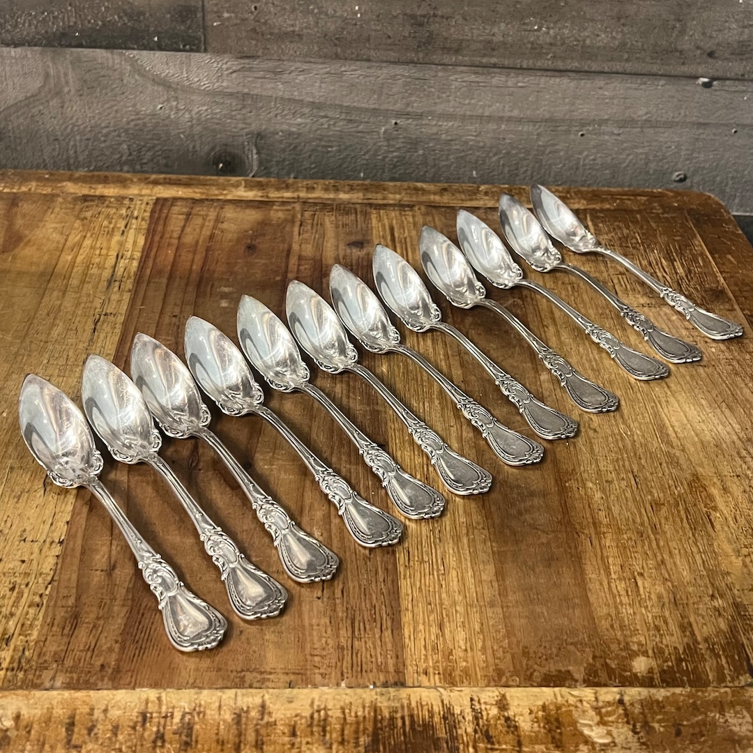 1847 Rogers Bros AI Silverplated Fruit Spoons - Set of 12 - Etsy