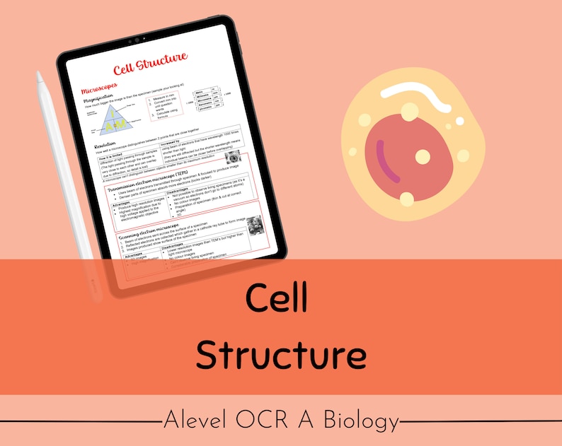 OCR A A-level Biology Cell Structure Revision Notes - Etsy Australia