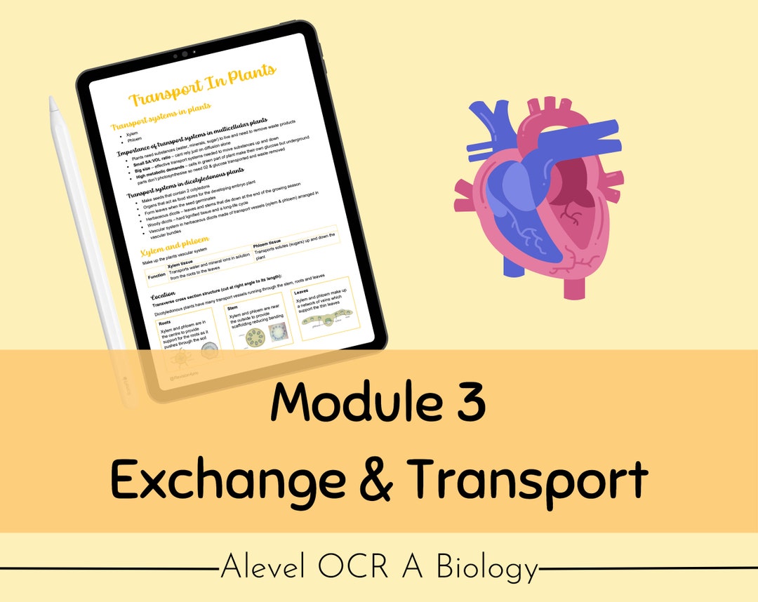 OCR A A-level Biology Module 3 Revision Notes - Etsy