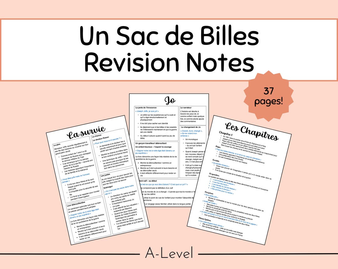 Un Sac De Billes A-level French Revision Notes - Etsy