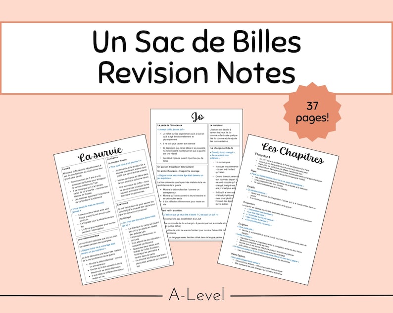 Un Sac De Billes A-level French Revision Notes - Etsy