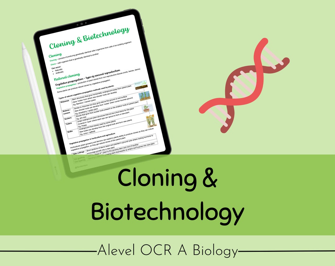 OCR A A-level Biology Cloning & Biotechnology Revision Notes - Etsy