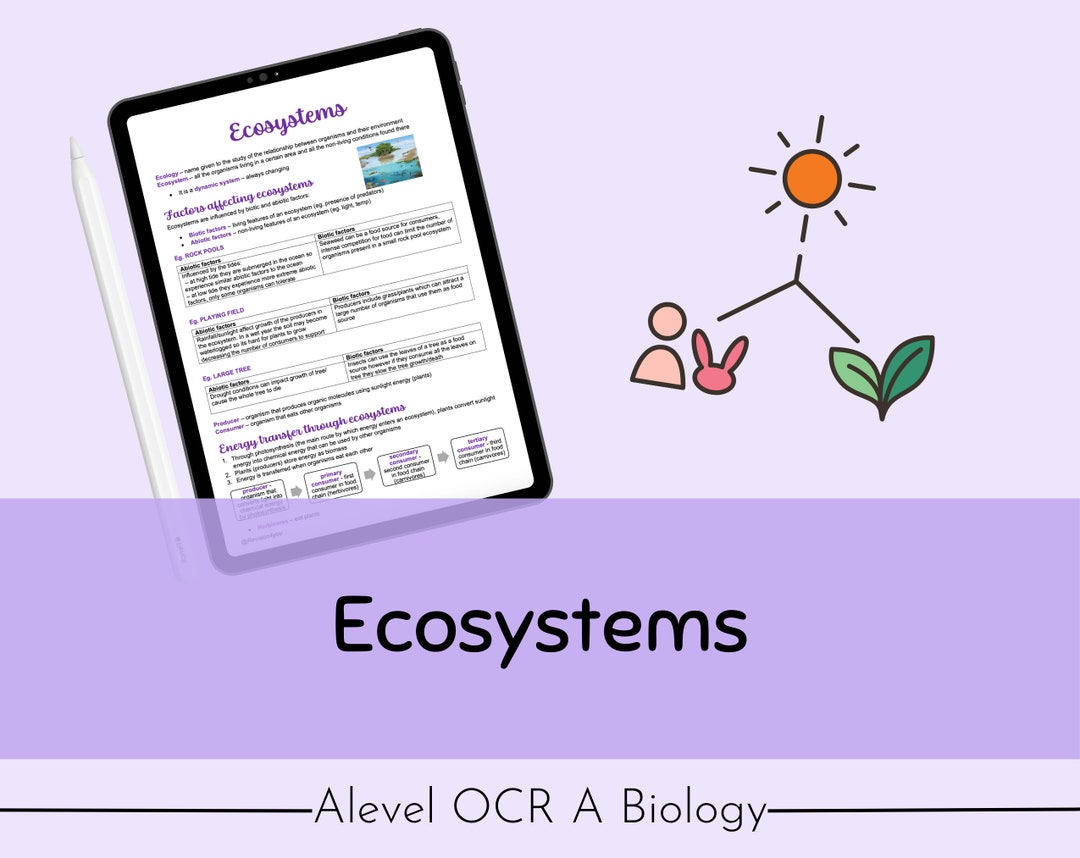 OCR A A-level Biology Ecosystems Revision Notes - Etsy UK