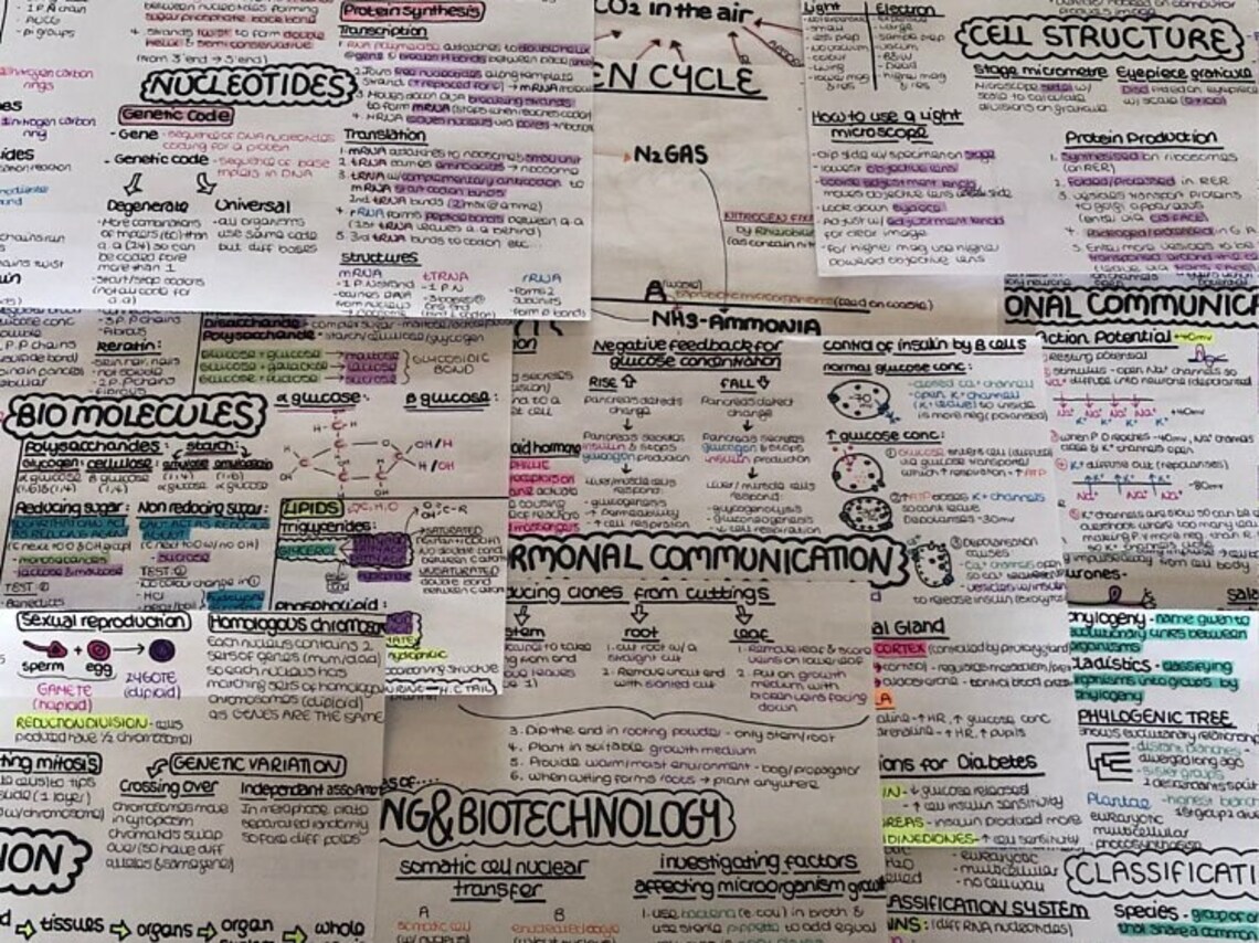 30+ Pages AS & A-level Biology OCR A Summarised Revision Notes – Year 1 ...