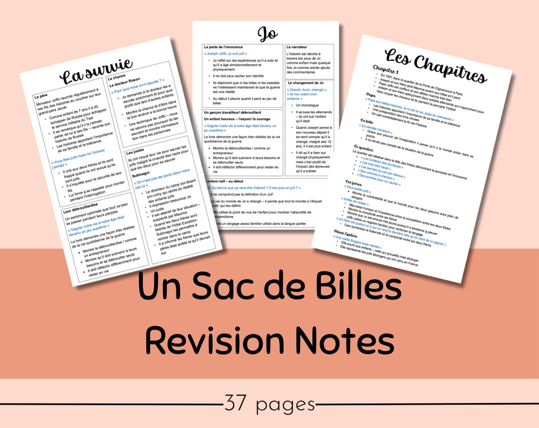Un Sac De Billes A-level French Revision Notes - Etsy