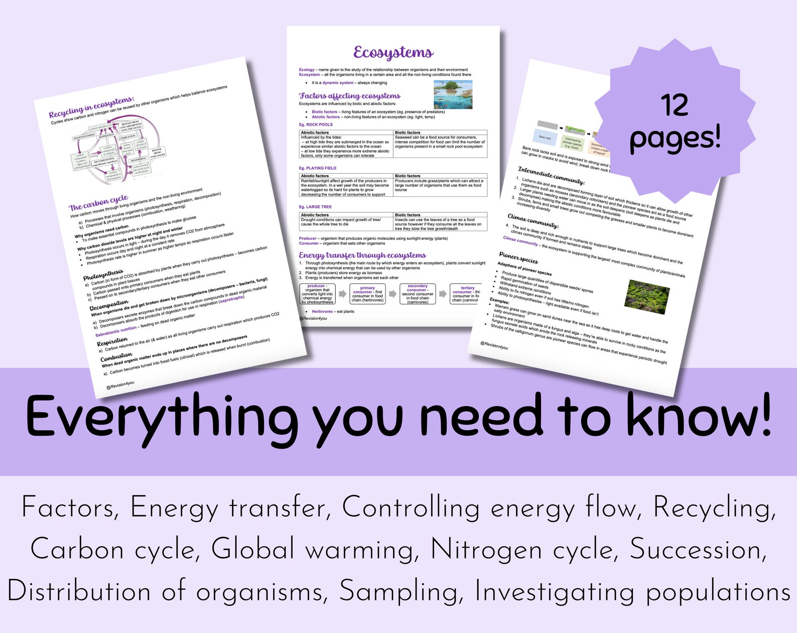 OCR A A-level Biology Ecosystems Revision Notes - Etsy