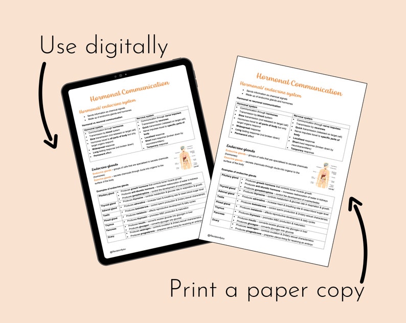 OCR A A-level Biology Hormonal Communication Revision Notes - Etsy