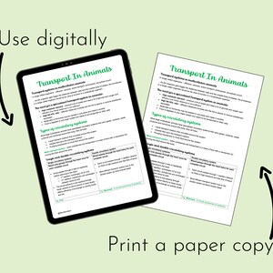OCR A A-level Biology Transport in Animals Revision Notes - Etsy