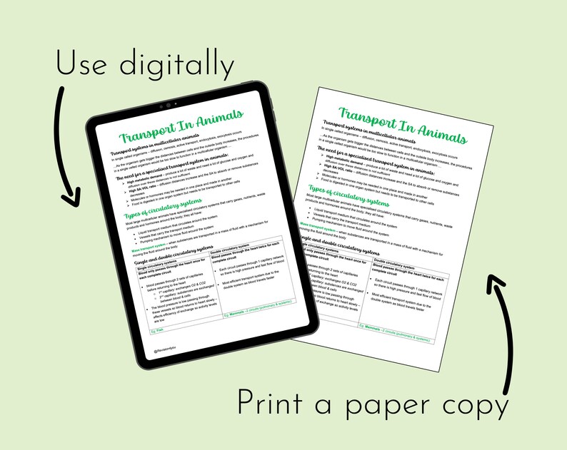 OCR A A-level Biology Transport in Animals Revision Notes - Etsy
