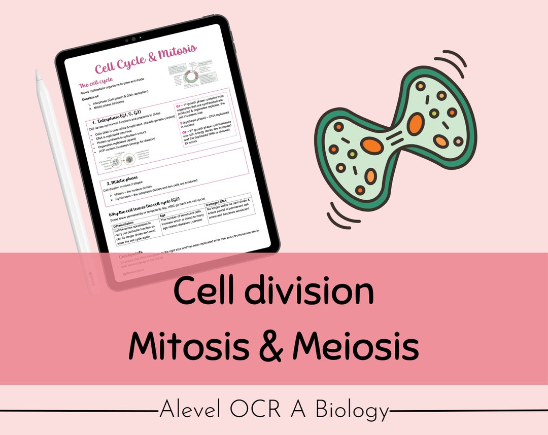 OCR A A-level Biology Module Cell Division, Cell Diversity and Cellular ...