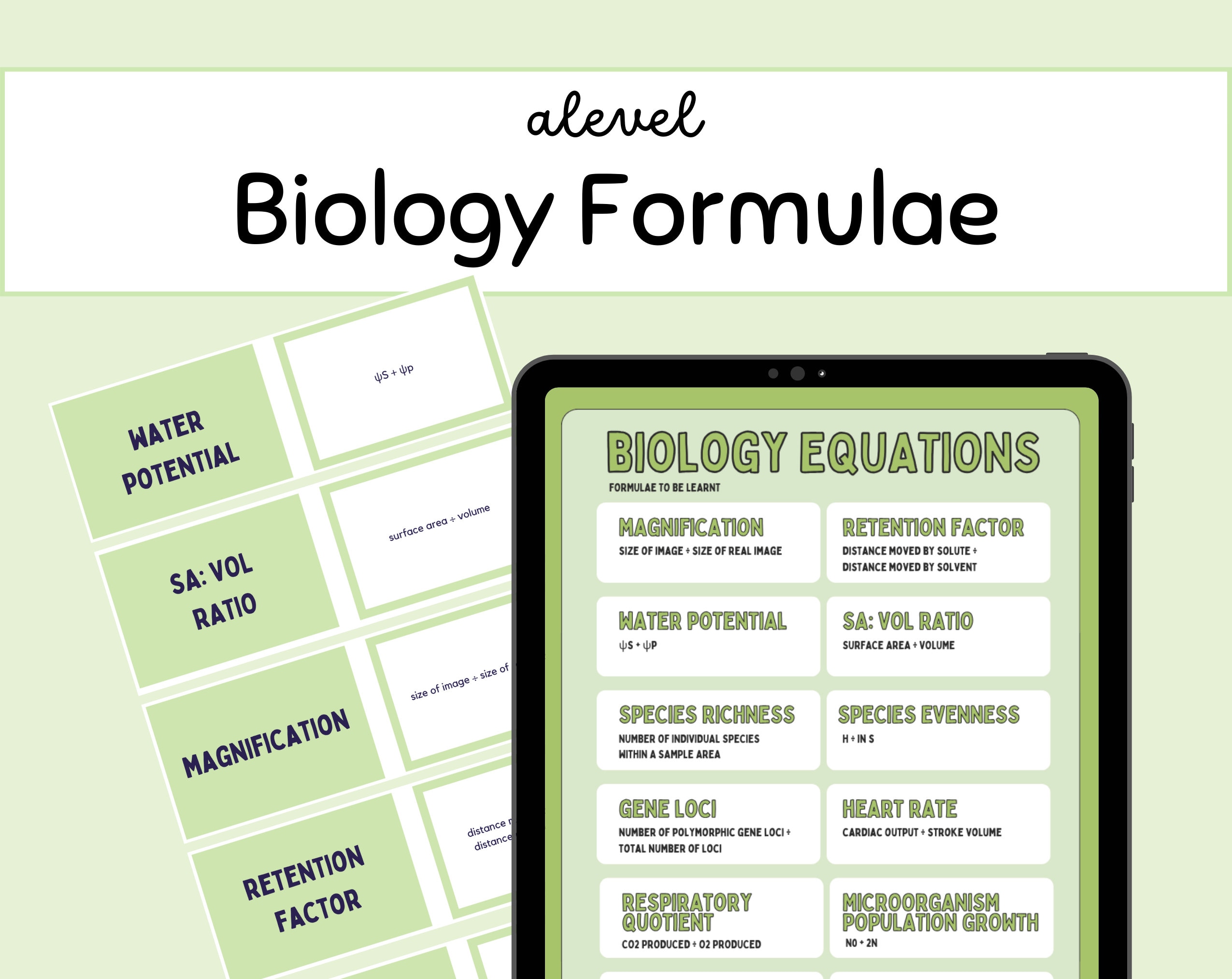 A-level Biology Formulae Equation Flashcards & Revision Sheet - Etsy