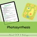 OCR A A-level Biology Photosynthesis Revision Notes - Etsy