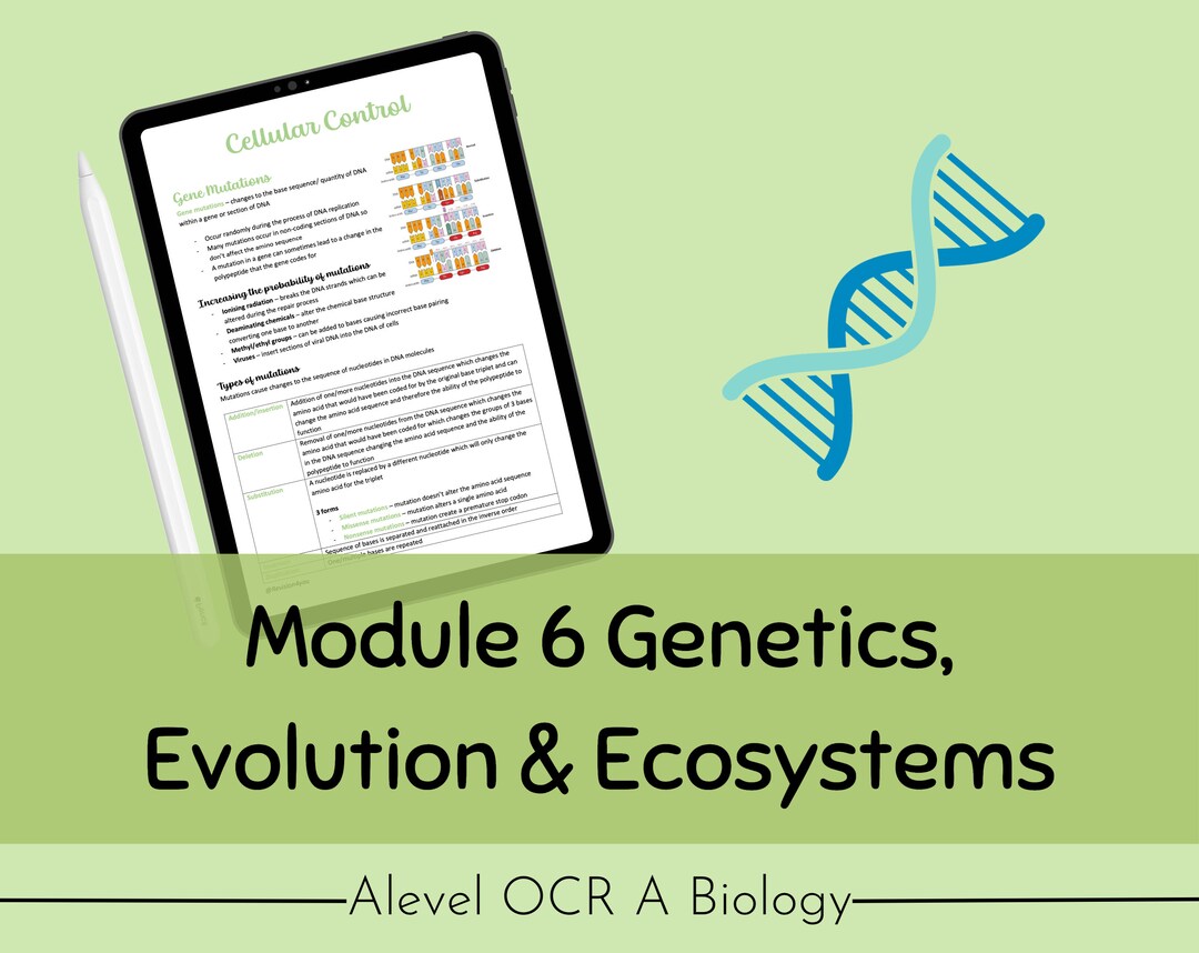 OCR A A-level Biology Module 6 Revision Notes - Etsy UK