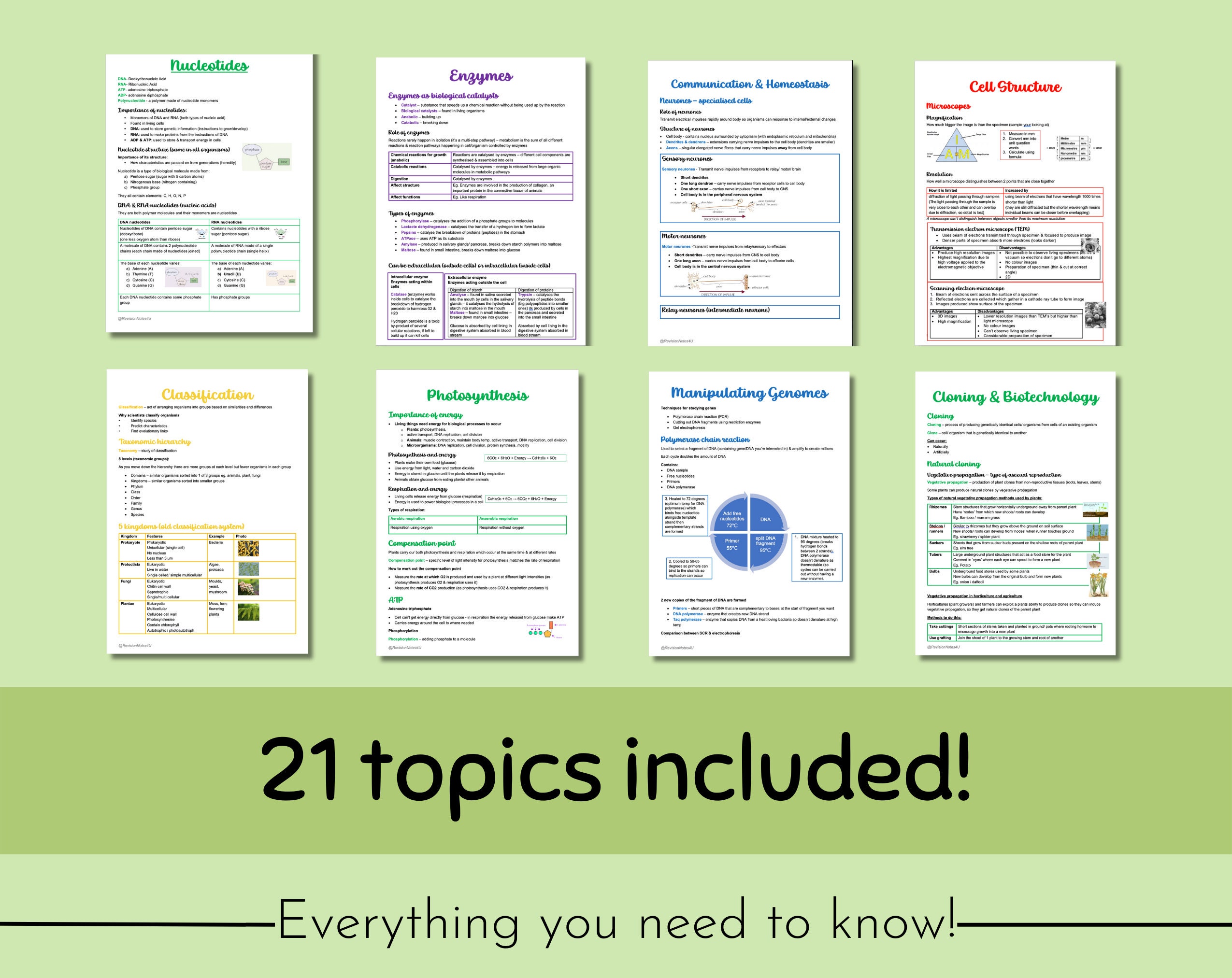 OCR A-level Biology Revision Notes Year 1 2 - Etsy