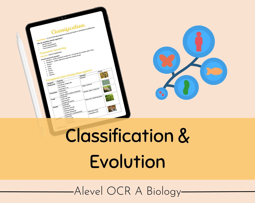 OCR A A-level Biology Classification & Evolution Revision Notes - Etsy