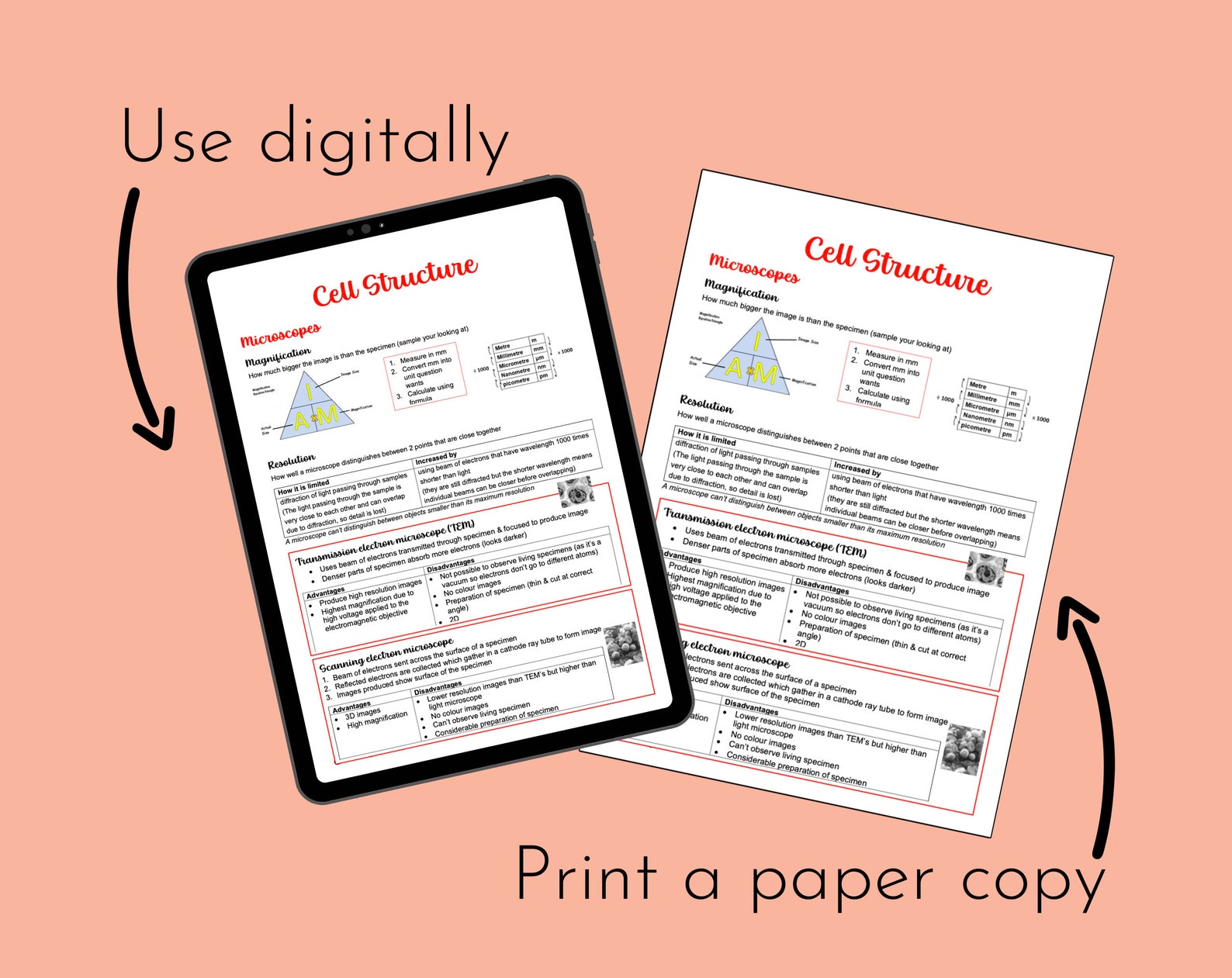 OCR A A-level Biology Cell Structure Revision Notes - Etsy