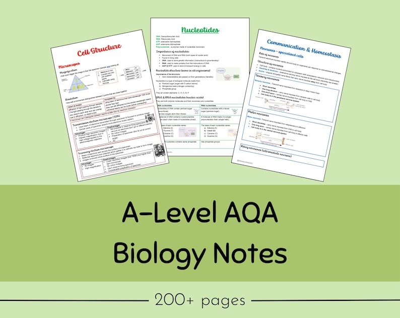 OCR A-level Biology Revision Notes Year 1 + 2 - Etsy