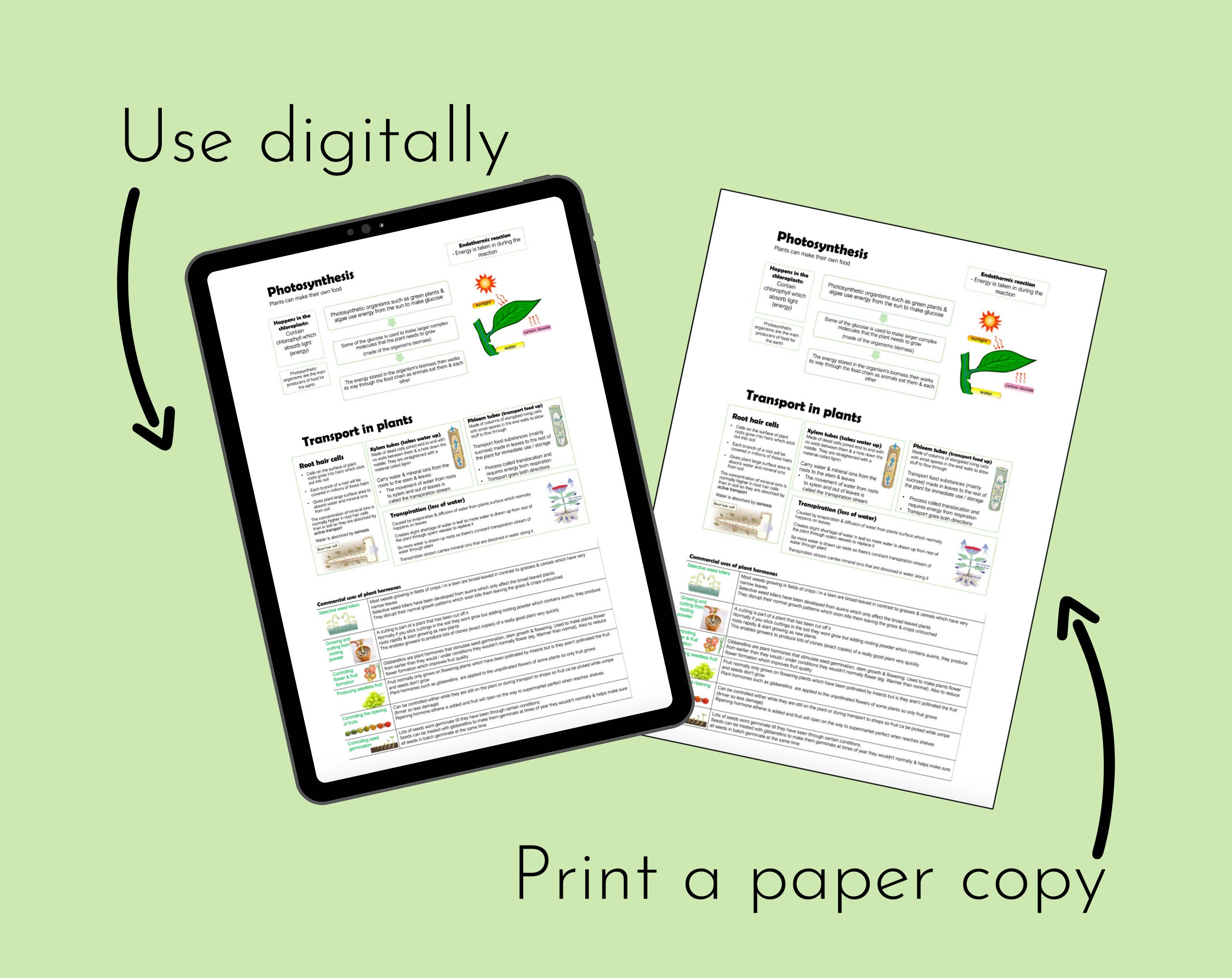 Edexcel GCSE 9-1 Biology Revision Notes - Etsy UK